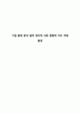 기업 환경 분석 법적 정치적 사회 문화적 지리 국제 환경-1페이지