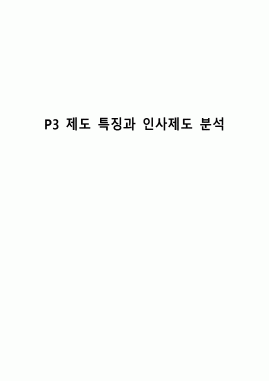 P3 제도 특징과 인사제도 분석-1페이지