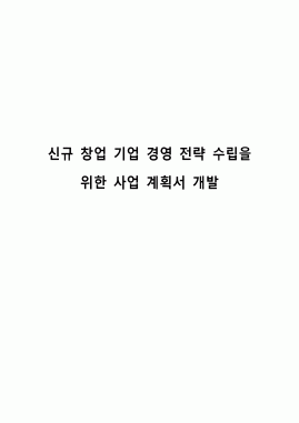 신규 창업 기업 경영 전략 수립을 위한 사업 계획서 개발-1페이지