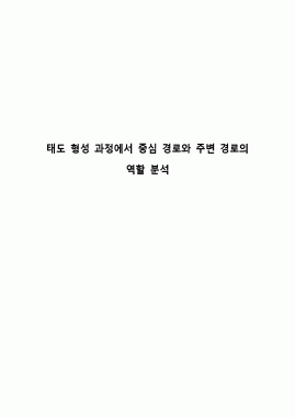 태도 형성 과정에서 중심 경로와 주변 경로의 역할 분석-1페이지