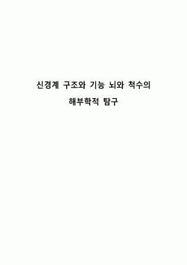 신경계 구조와 기능 뇌와 척수의 해부학적 탐구-1페이지