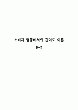 소비자 행동에서의 관여도 이론 분석-1페이지
