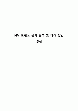 HM 브랜드 전략 분석 및 미래 방안 모색-1페이지