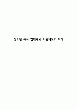 청소년 복지 법체계와 지원제도의 이해-1페이지