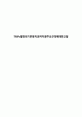 TRIPs협정의기본원칙과저작권주요규정에대한고찰-1페이지