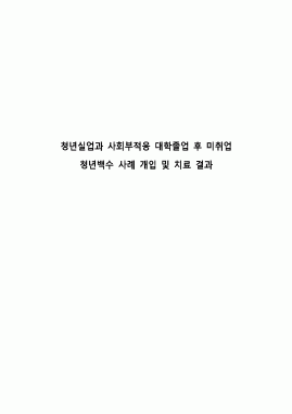 청년실업과 사회부적응 대학졸업 후 미취업 청년백수 사례 개입 및 치료 결과-1페이지