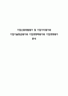 기업신용위험평가 및 기업가치평가와 기업기술등급평가와 기업경쟁력평가와 기업경영평가 분석-1페이지