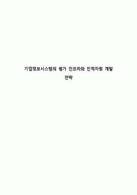 기업정보시스템의 평가 인프라와 인적자원 개발 전략-1페이지