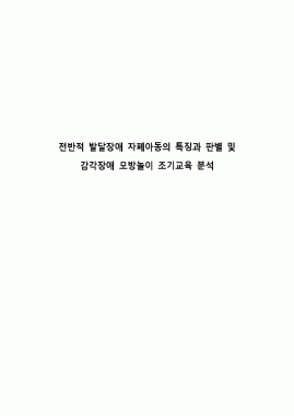 전반적 발달장애 자폐아동의 특징과 판별 및 감각장애 모방놀이 조기교육 분석-1페이지