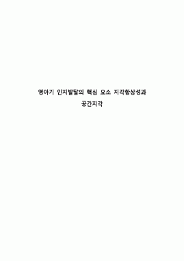 영아기 인지발달의 핵심 요소 지각항상성과 공간지각-1페이지