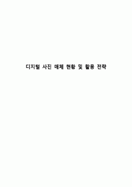 디지털 사진 매체 현황 및 활용 전략-1페이지