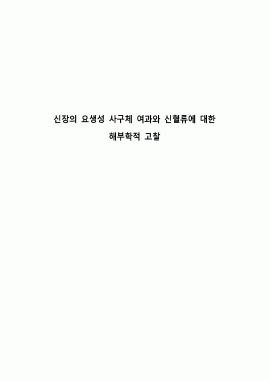 신장의 요생성 사구체 여과와 신혈류에 대한 해부학적 고찰-1페이지