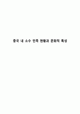 중국 내 소수 민족 현황과 문화적 특성-1페이지