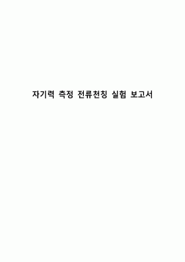 자기력 측정 전류천칭 실험 보고서-1페이지
