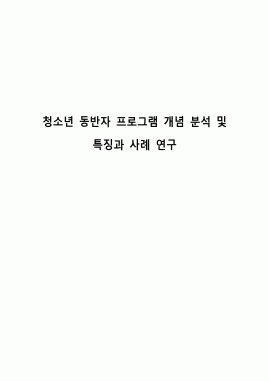 청소년 동반자 프로그램 개념 분석 및 특징과 사례 연구-1페이지