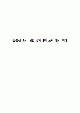 광통신 소자 실험 광파이버 도파 원리 이해-1페이지
