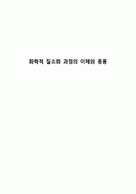 화학적 질소화 과정의 이해와 응용-1페이지