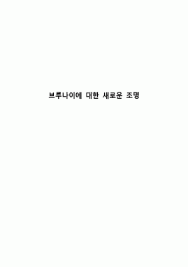 브루나이에 대한 새로운 조명-1페이지