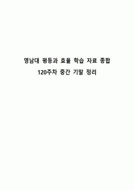 영남대 평등과 효율 학습 자료 종합 120주차 중간 기말 정리-1페이지