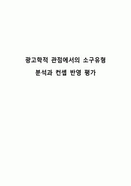 광고학적 관점에서의 소구유형 분석과 컨셉 반영 평가-1페이지