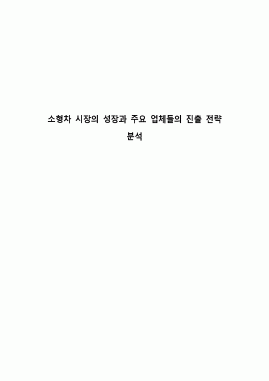 소형차 시장의 성장과 주요 업체들의 진출 전략 분석-1페이지