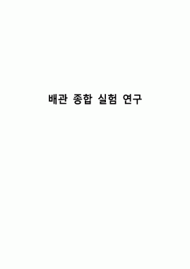 배관 종합 실험 연구-1페이지