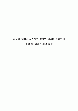 자국어 도메인 시스템의 정의와 다국어 도메인의 이점 및 서비스 환경 분석-1페이지