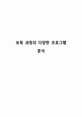 보육 과정의 다양한 프로그램 분석-1페이지