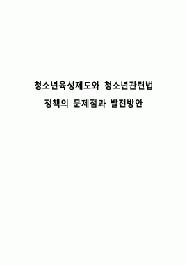 청소년육성제도와 청소년관련법 정책의 문제점과 발전방안-1페이지