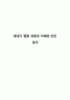 태내기 발달 과정의 이해와 진단 검사-1페이지