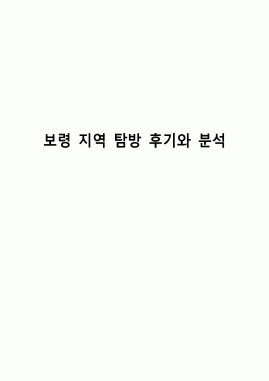 보령 지역 탐방 후기와 분석-1페이지