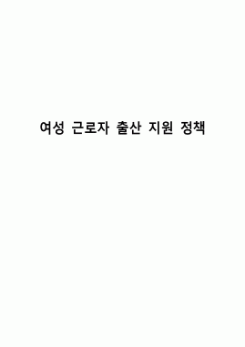여성 근로자 출산 지원 정책-1페이지