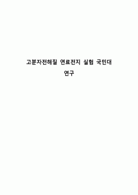 고분자전해질 연료전지 실험 국민대 연구-1페이지