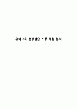유아교육 현장실습 소풍 체험 분석-1페이지