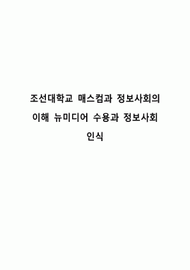 조선대학교 매스컴과 정보사회의 이해 뉴미디어 수용과 정보사회 인식-1페이지