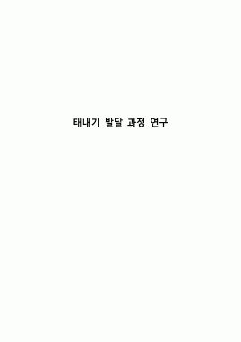 태내기 발달 과정 연구-1페이지