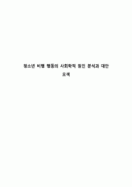 청소년 비행 행동의 사회학적 원인 분석과 대안 모색-1페이지