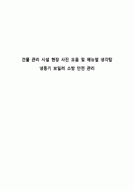 건물 관리 시설 현장 사진 모음 및 매뉴얼 냉각탑 냉동기 보일러 소방 안전 관리-1페이지