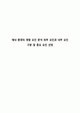 태내 환경의 영향 요인 분석 외부 요인과 내부 요인 구분 및 중요 요인 선정-1페이지