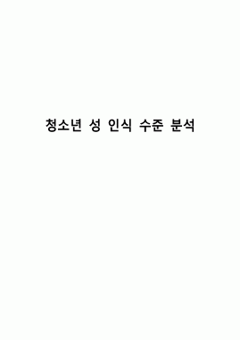 청소년 성 인식 수준 분석-1페이지
