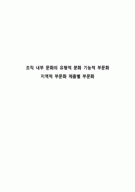 조직 내부 문화의 유형적 분화 기능적 부문화 지역적 부문화 제품별 부문화-1페이지