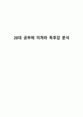 20대 공부에 미쳐라 독후감 분석-1페이지