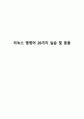 리눅스 명령어 20가지 실습 및 응용-1페이지