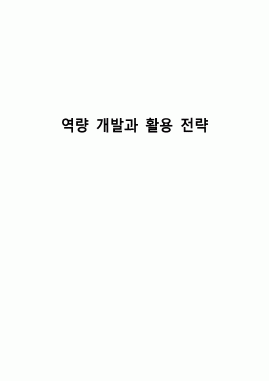 역량 개발과 활용 전략-1페이지