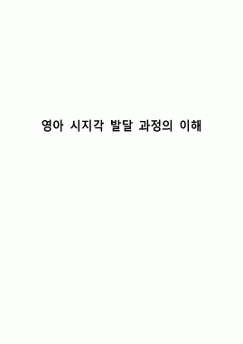 영아 시지각 발달 과정의 이해-1페이지