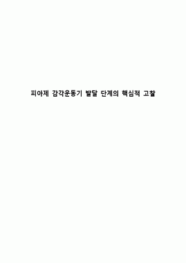 피아제 감각운동기 발달 단계의 핵심적 고찰-1페이지