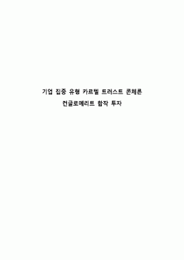기업 집중 유형 카르텔 트러스트 콘체른 컨글로메리트 합작 투자-1페이지