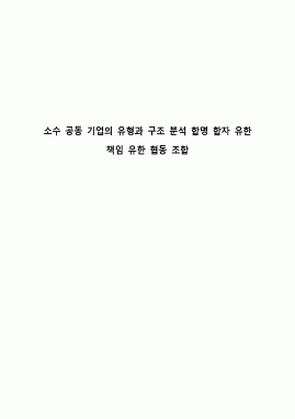 소수 공동 기업의 유형과 구조 분석 합명 합자 유한 책임 유한 협동 조합-1페이지