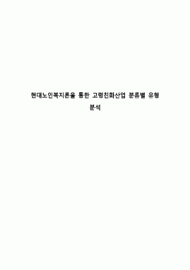 현대노인복지론을 통한 고령친화산업 분류별 유형 분석-1페이지