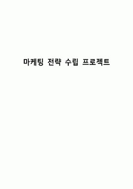 마케팅 전략 수립 프로젝트-1페이지